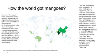 Mangoes - The biggest delight of summes | PPT