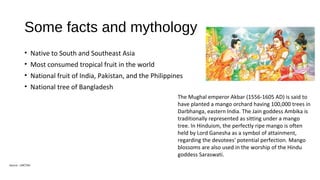 Mangoes - The biggest delight of summes | PPT | Hinduism | Religion ...