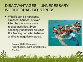 Kayla Boyes Wildlife Conservation Tourism | PPT