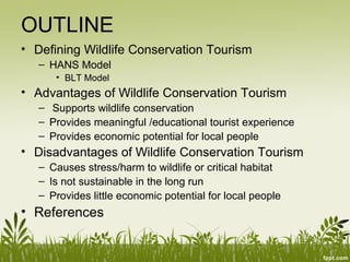 Kayla Boyes Wildlife Conservation Tourism | PPT