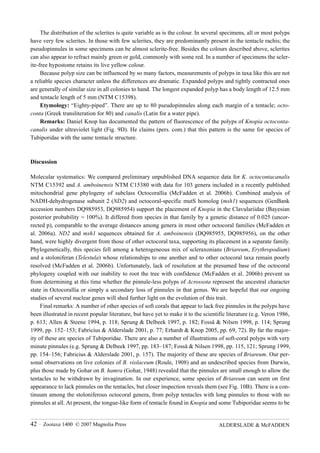 2011 -- Alderslade_Pinnule-less polyps Acrossota_Knopia | PDF