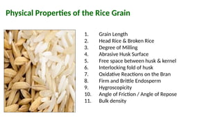ANATOMY AND PHYSICAL PROPERTIES OF RICE GRAIN (1).pptx