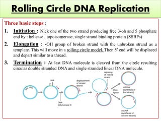 Replication of DNA different models-semiconservative,unidirectional and ...