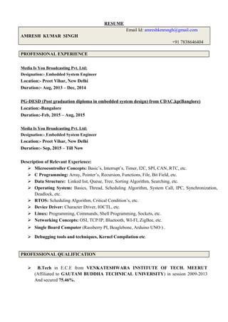 amresh_updated_exp | PDF