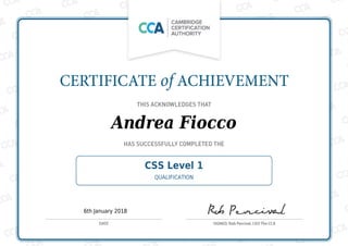 Cca certificate-css level 1 | PPT