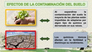 Causas De La Contaminacion Del Suelo