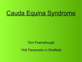 Cauda equina | PPT