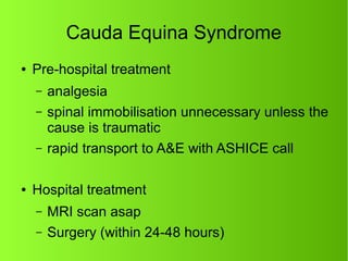 Cauda equina | PPT