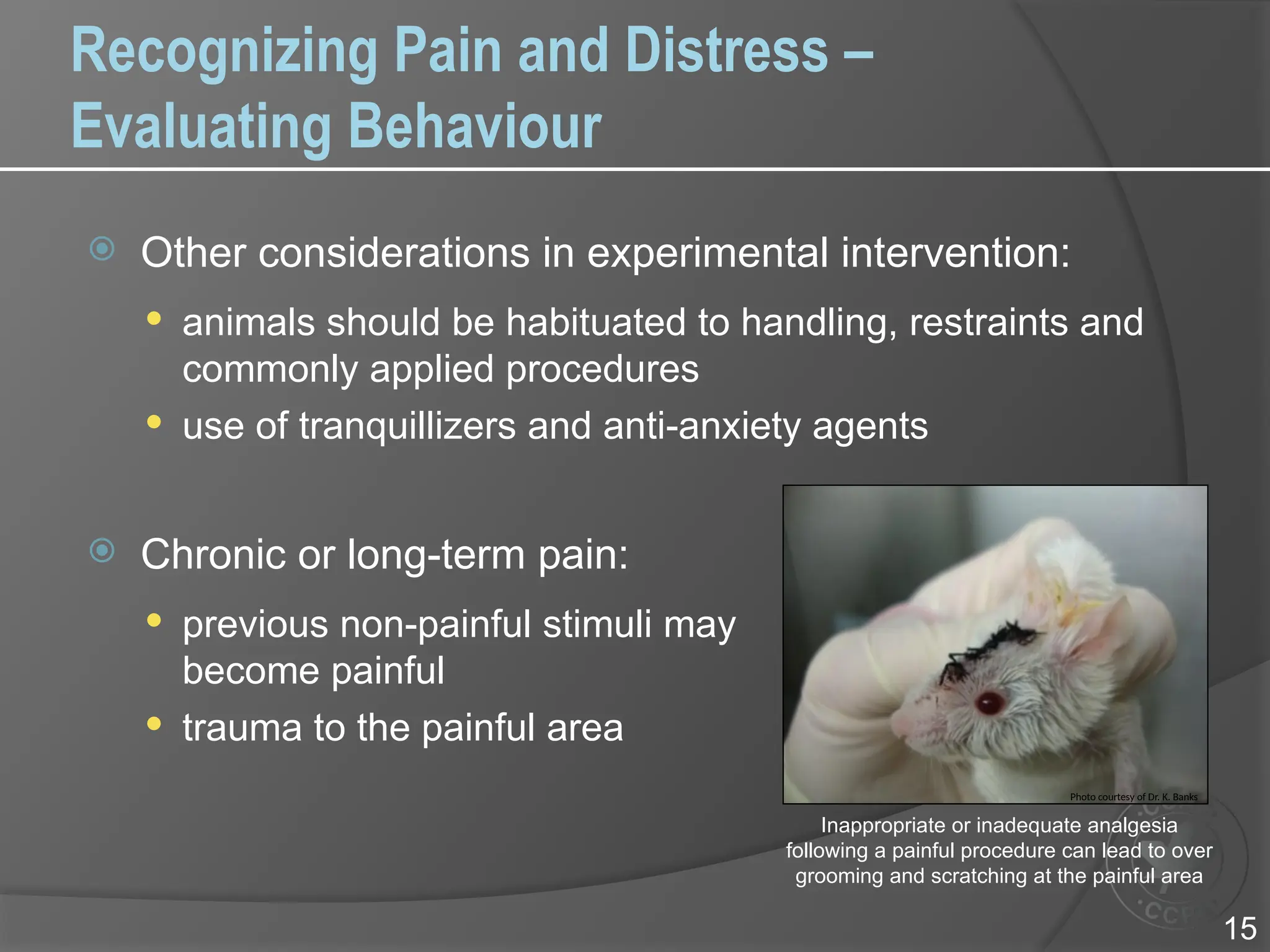 CCAC_training_module_on_pain_distress_and_endpoints.pptx