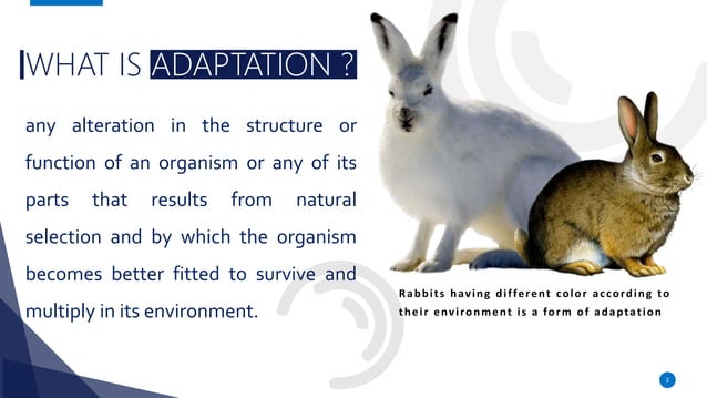 Climate change adaptation in energy sector | PPT