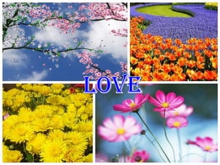 Ccad imelda wong | PPT