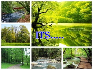 Ccad imelda wong | PPT