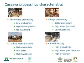Processing Cassava in Mozambique | PPT