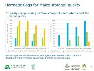 Hermetic bag for the storage of maize: Economic perspective in ...