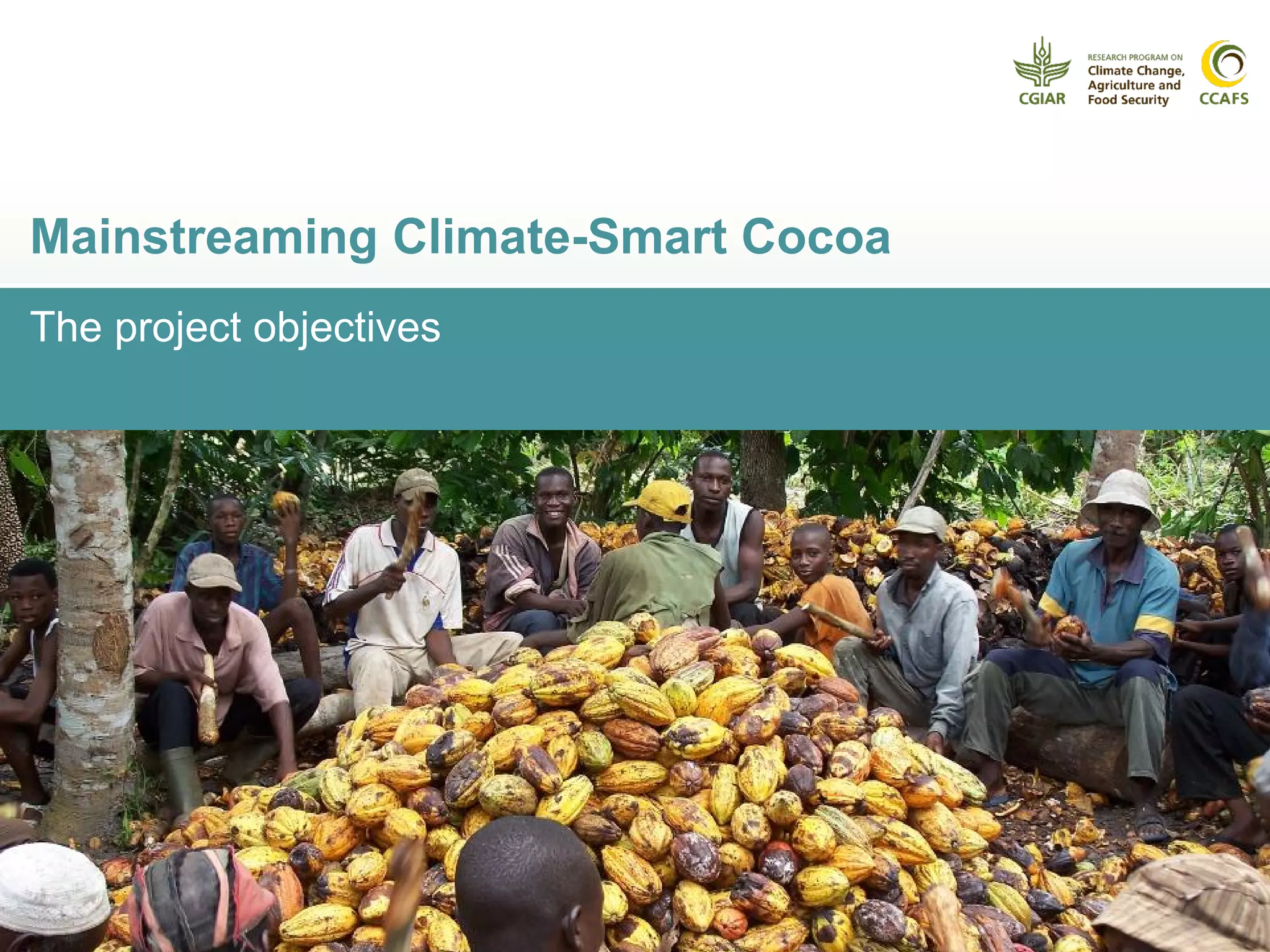 Climate change impacts on cocoa in Ghana | PDF