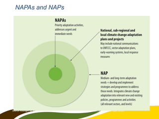 National Adaptation Plans (NAPs) - Opportunities for cross-sector synergies in the nexus between ...