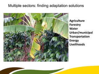 National Adaptation Plans (NAPs) - Opportunities for cross-sector ...