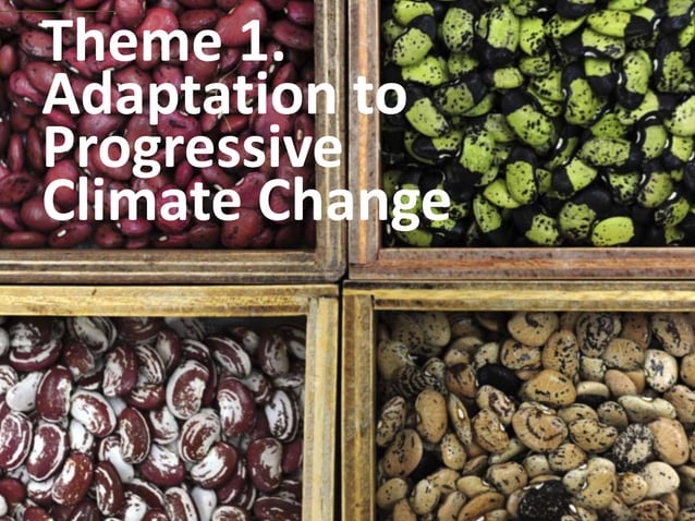 CCAFS: An Overview National Policy Workshop, Addis Ababa | PPT