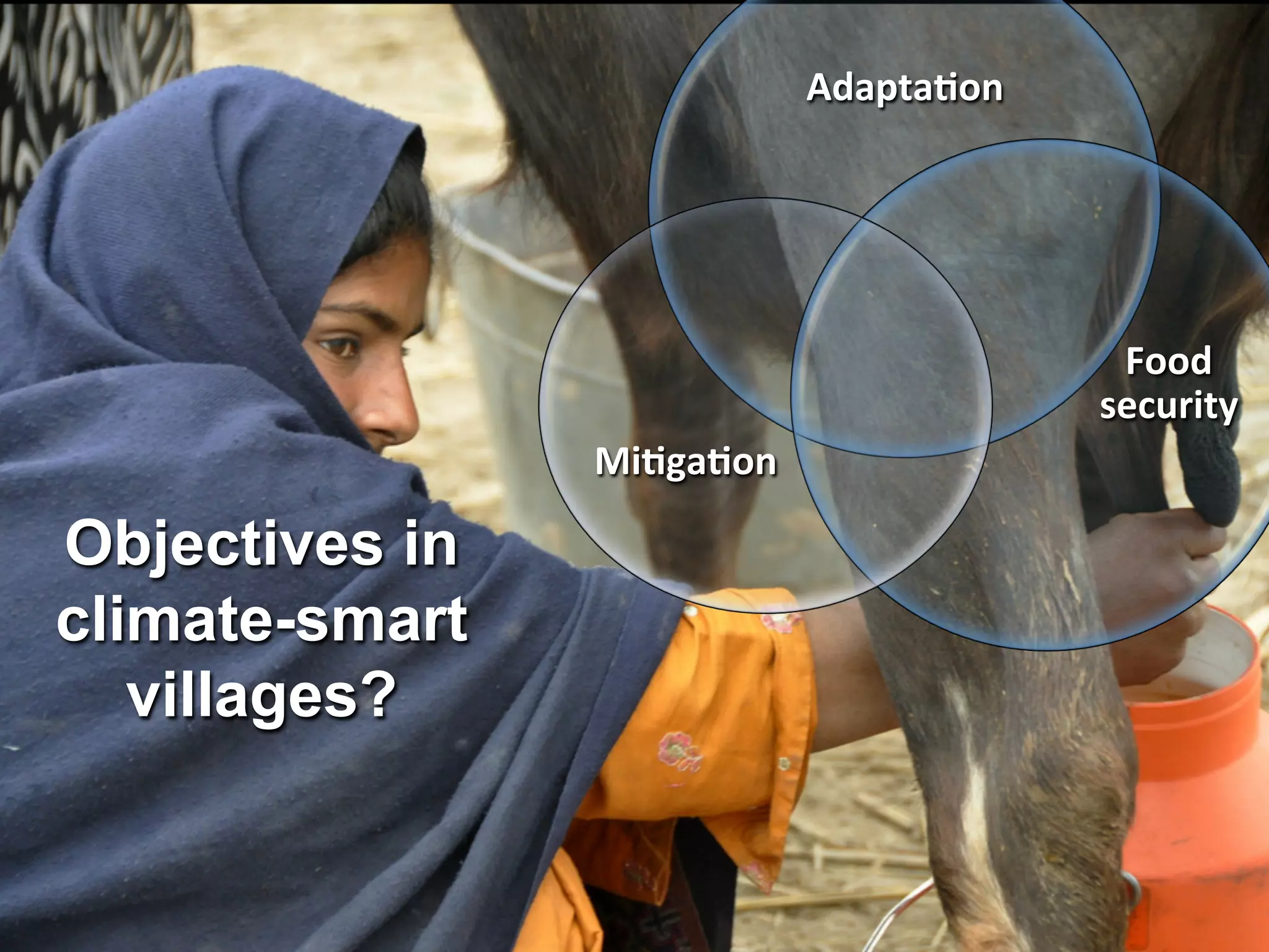 Climate-Smart Villages: an Introduction | PDF