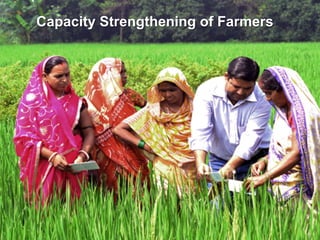 Climate-Smart Villages: an Introduction | PDF