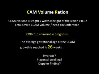 CCAM Congenital Cystic Adenomatoid Malformation | PPTX