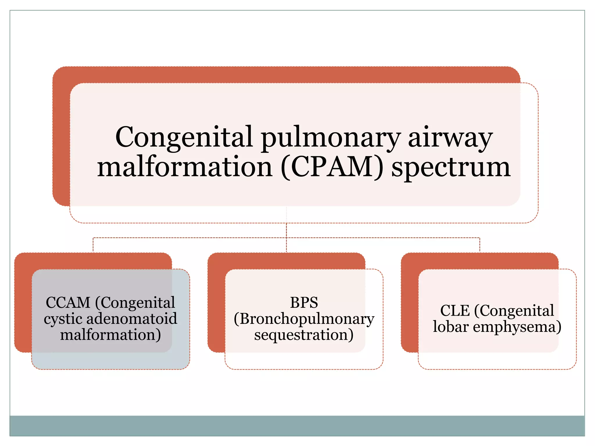 Congenital cystic adenomatoid malformation | PPTX