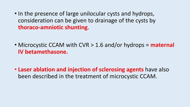 CCAM | PPT