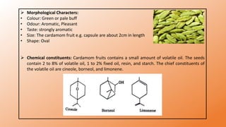 Carminative: Definition with example | PPTX