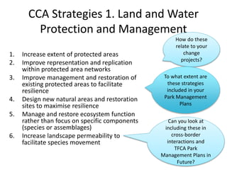 CCA strategies for biodiversity conservation contexts | PPTX