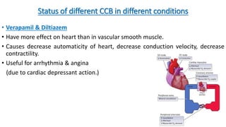Calcium Channel Blockers | PPT