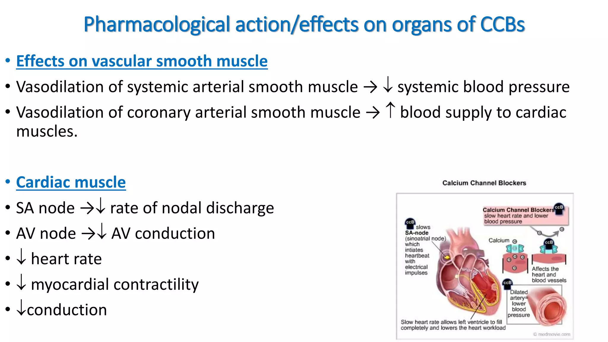 Calcium Channel Blockers | PDF