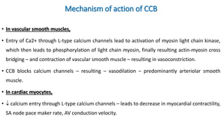 Calcium Channel Blockers | PDF