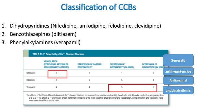 Calcium Channel Blockers