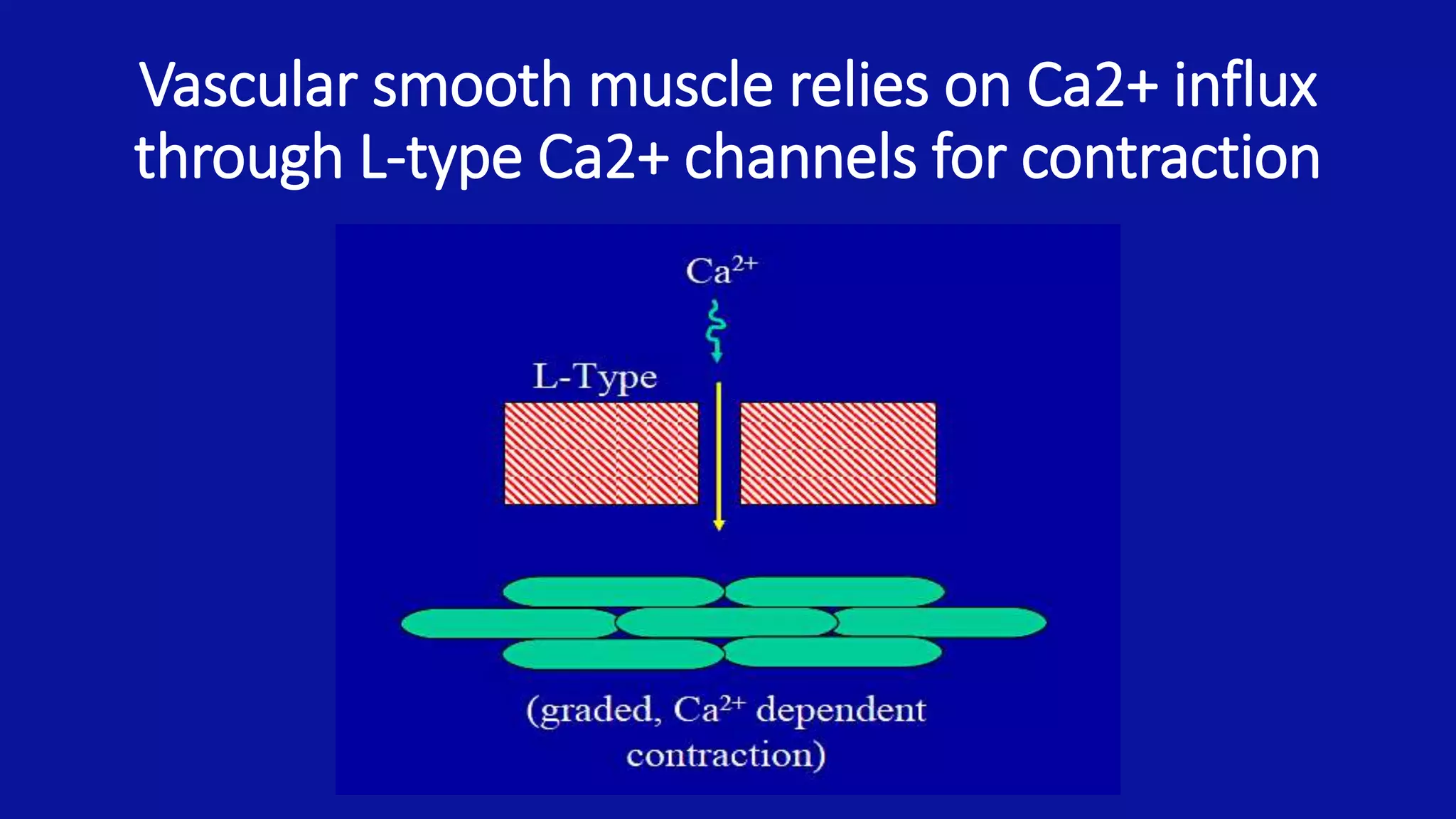 calcium channel blocker | PPTX