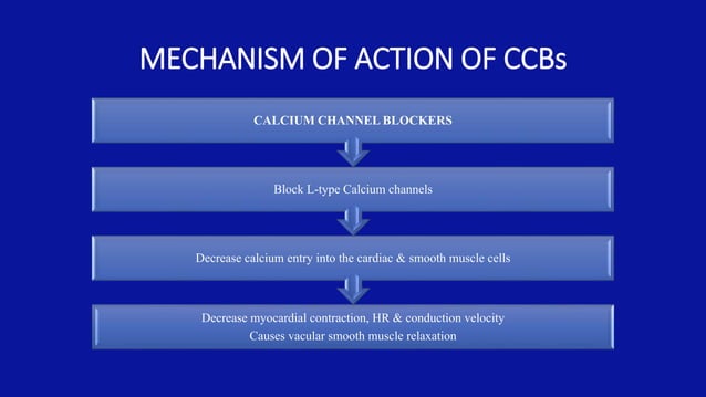 calcium channel blocker | PPTX