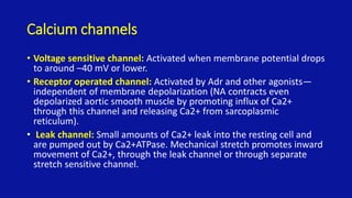 calcium channel blocker | PPTX