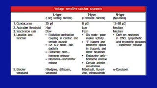 calcium channel blocker | PPTX