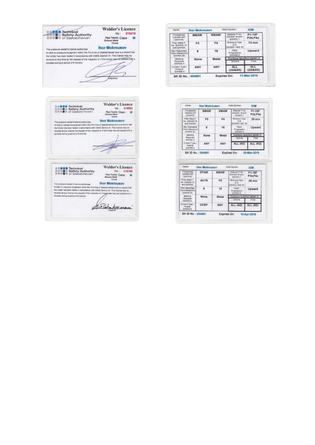 Ihor_Mokrousov.compressed | PDF