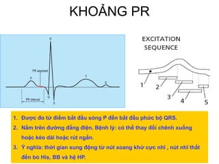 CÁC BƯỚC ĐỌC ECG | PDF