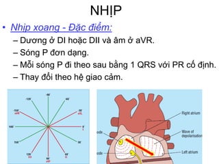 CÁC BƯỚC ĐỌC ECG | PDF