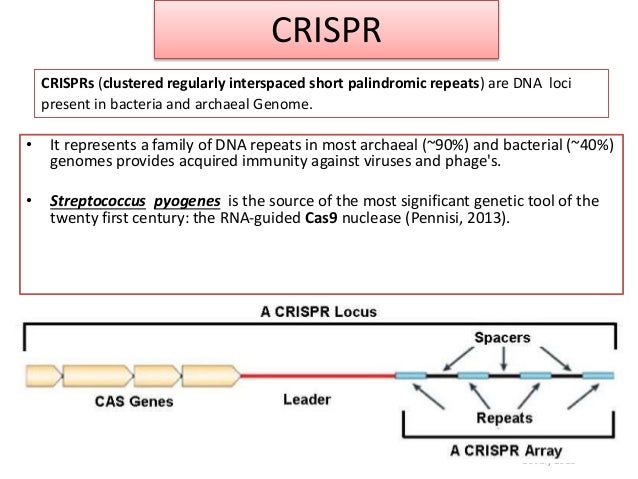 CRISPR-Revolutionary Genome editing tools for Plants.....