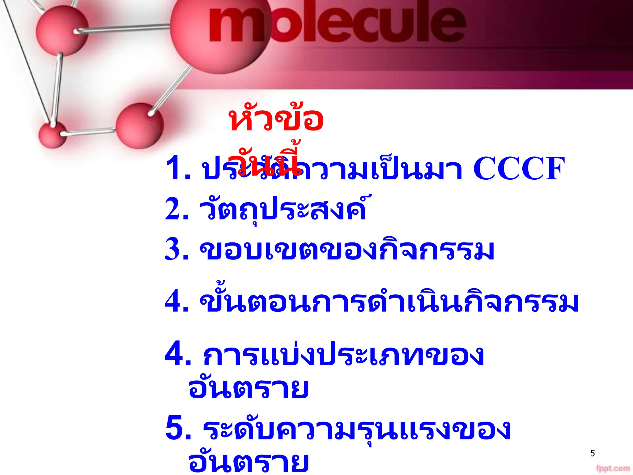 หลักสูตร CCCF CCCF CCCF CCCF Thai inter.pptx