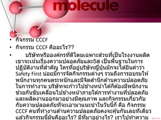หลักสูตร CCCF CCCF CCCF CCCF Thai inter.pptx