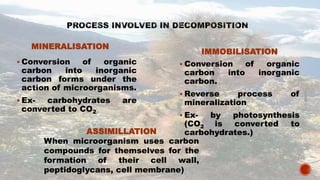 CARBON CYCLE BY PRANZLY.ppt | Chemistry | Science