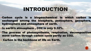 CARBON CYCLE BY PRANZLY.ppt