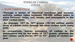 CARBON CYCLE BY PRANZLY.ppt