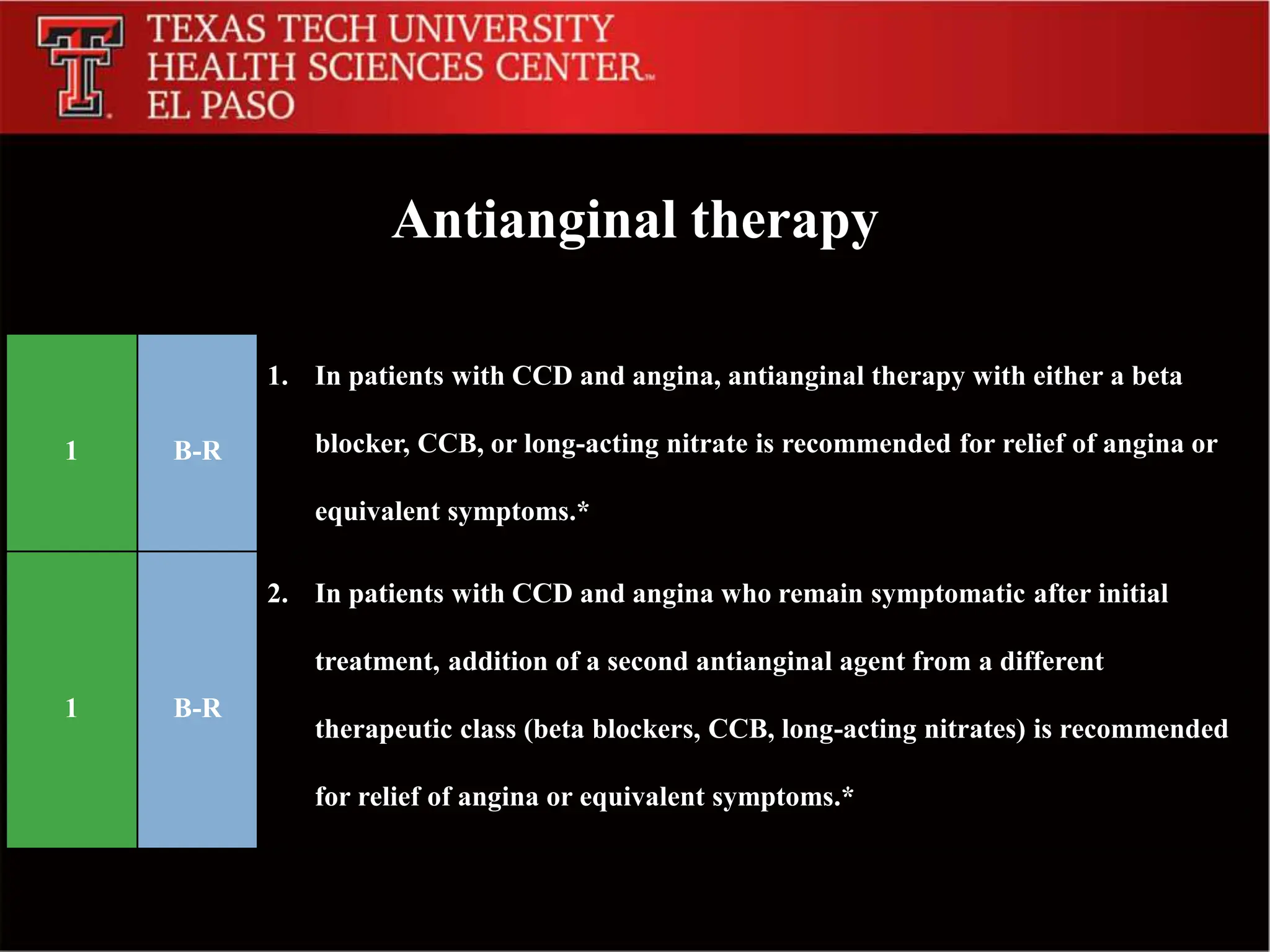 Chronic coronary artery disease with an example | PPTX