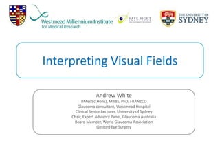 Interpreting Visual Fields | PPTX