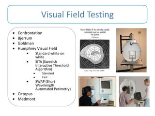 Interpreting Visual Fields | PPTX