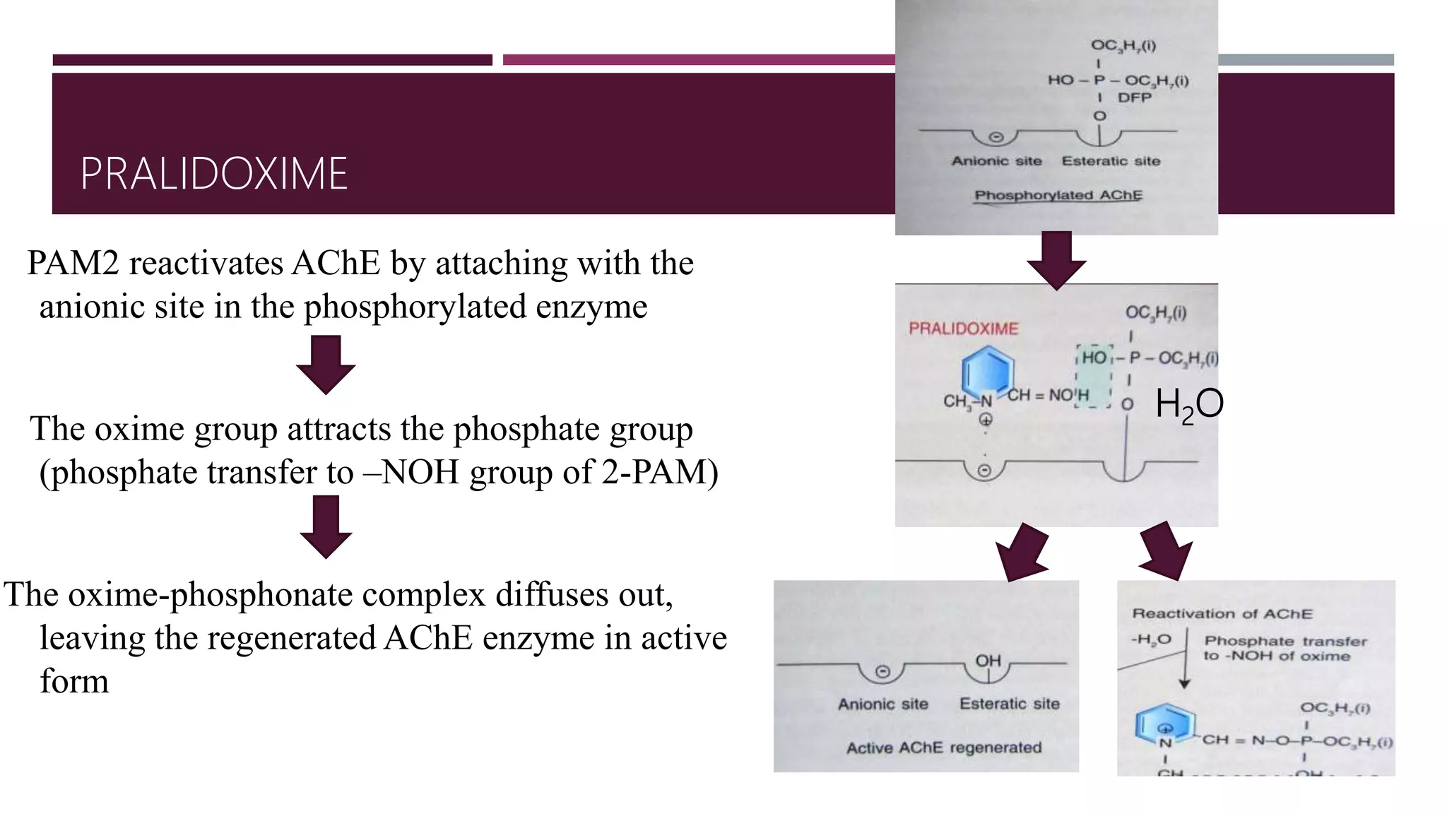 Clinical case discussion on organophosphorus poisoning | PPTX